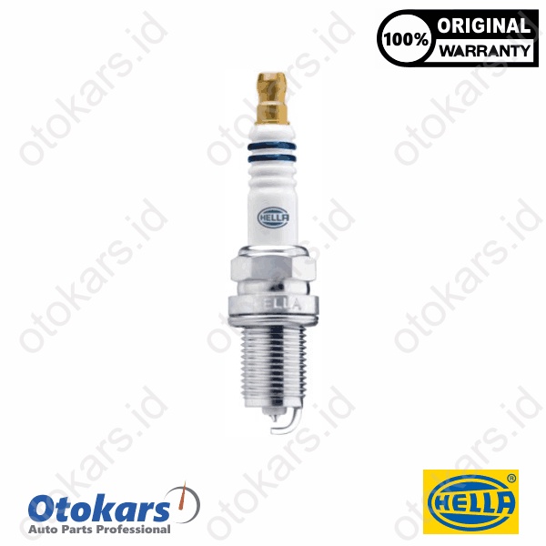 Platinum Spark Plug BMW E46 E90 E34 E39 E60 E65 E84, Engine N42 N46 N62 ...