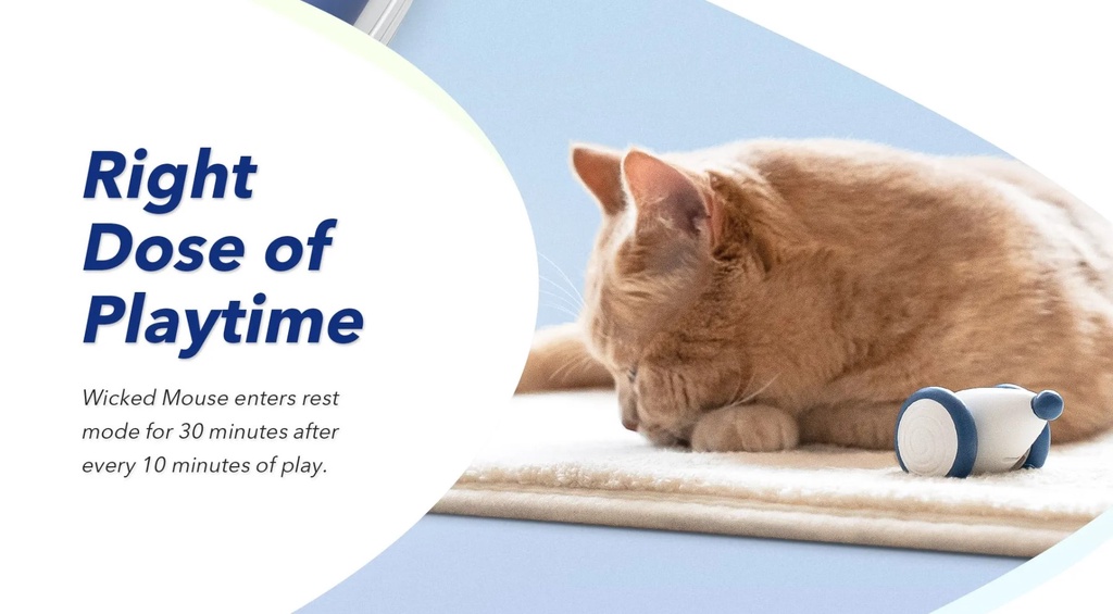Cheerble Wicked Mouse, Interactive Cat Chaser Toy | Shopee Singapore