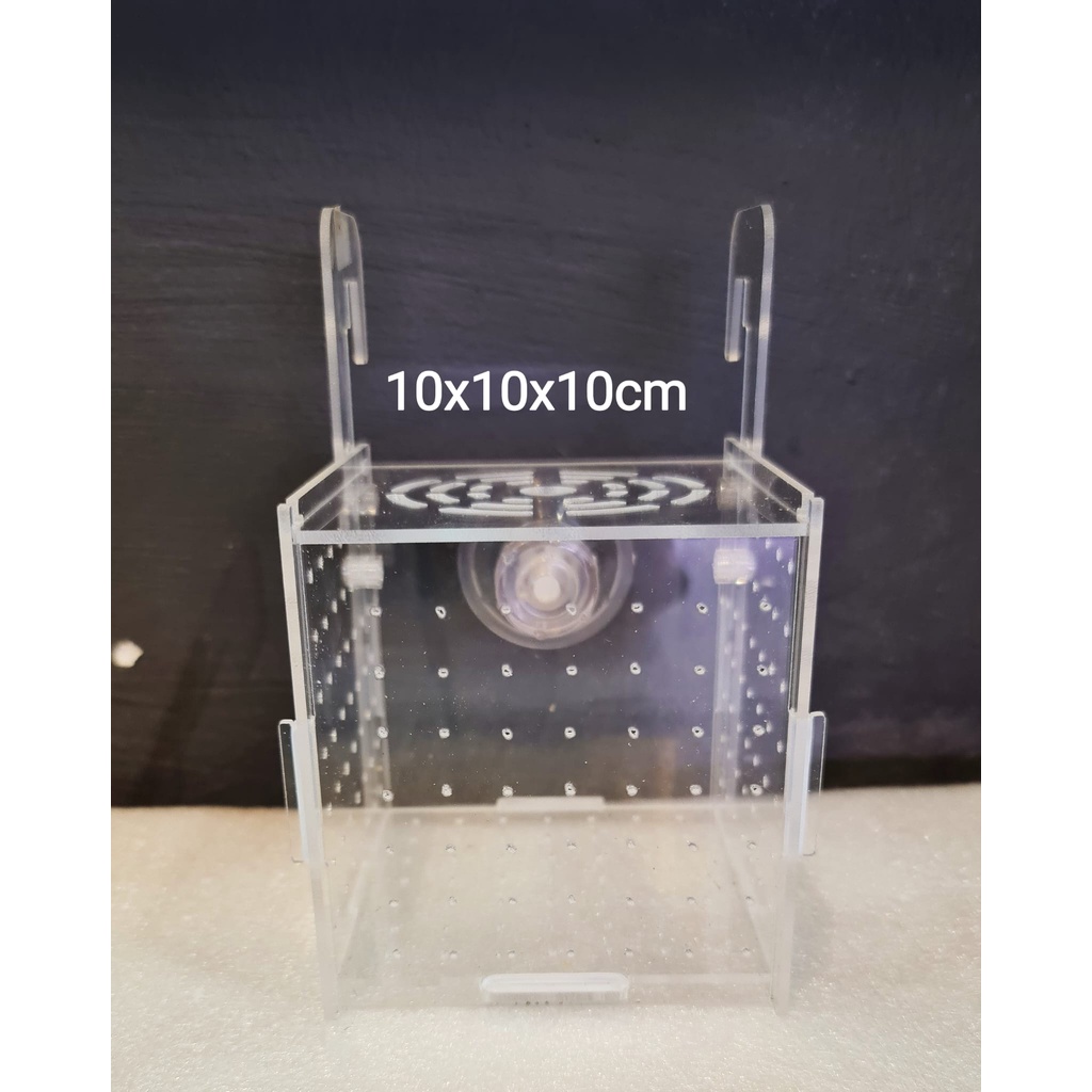Aquarium Fish Isolation Box Fish Tank (10x10x10cm) | Shopee Singapore