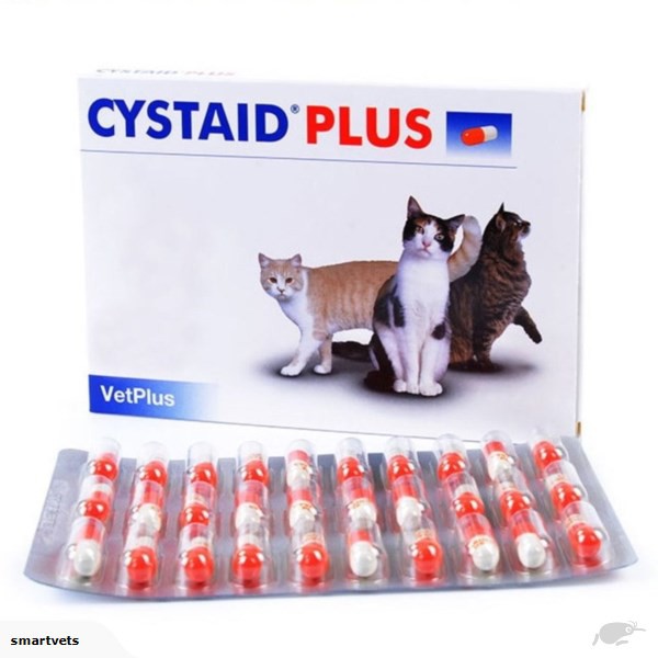 VetPlus- Cystaid Plus Feline (30 Capsules) | Shopee Singapore