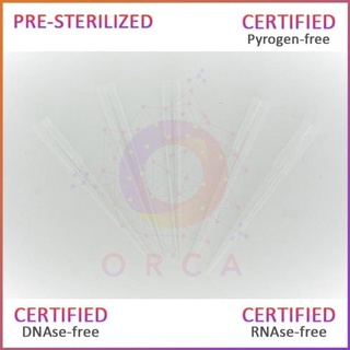 Micropipette Tips 1000 Ul Bulk - Sterile - Micropipet Pipette Tip ...