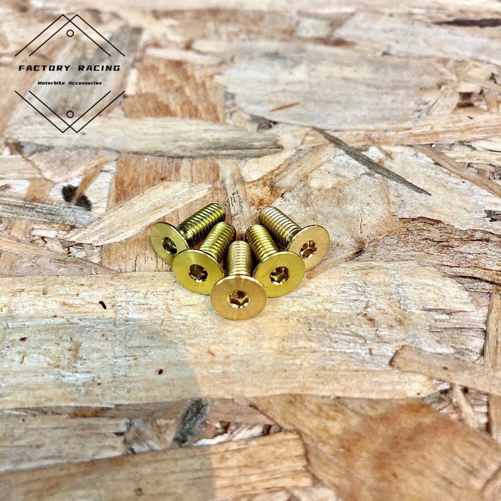 Titanium Screw Counter Sunk - M4 x 12 (1 pcs) | Shopee Singapore