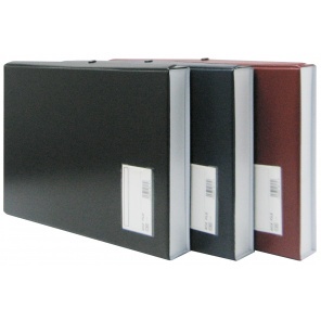 1175 - CBE PVC Box File F4 With Button | Shopee Singapore