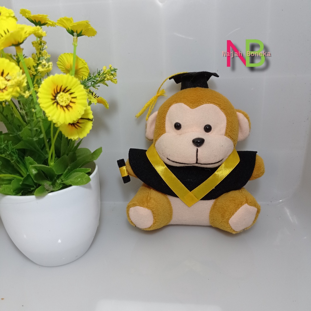 Cute mini Monkey Graduation Doll For Buckets For hampers And Graduation ...