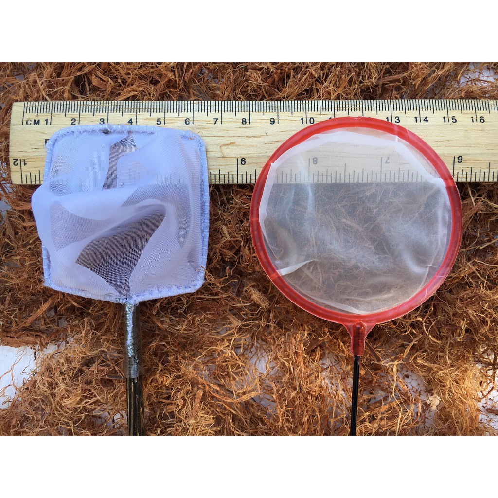 Fine Mesh Micro Hole Net Scoop Water Fleas BBS Artemia Sea-monkey ...