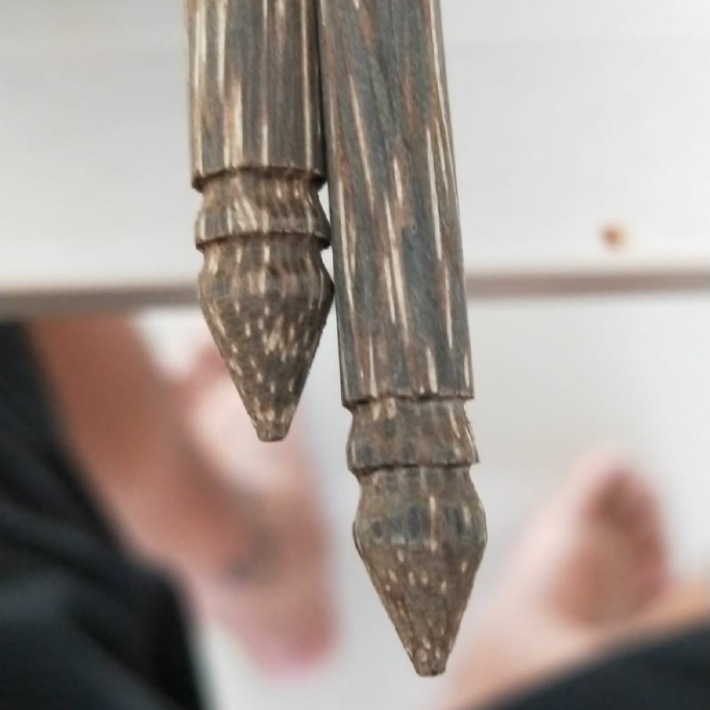 KTeam Betta Fish Flare Stick Flaring Stick training stick x2 | Shopee ...