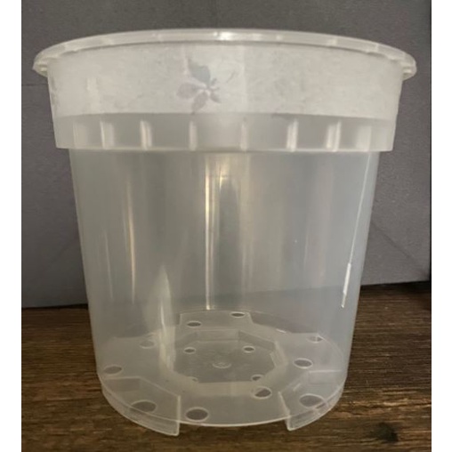 Transparent High-Quality Clear PP Pot (Ready Stock) | Shopee Singapore