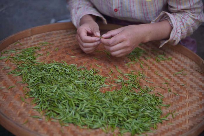 Jin Jun Mei, Wuyi Mountain, Fujian Black Tea |武夷山红茶 | 金骏眉｜手工制茶 ...
