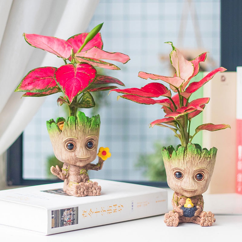 Flower Pot Home Pot Garden Planter Flower Pot Decoration Multifunction ...