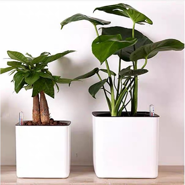 [Bundle of 2] Square Pot with water level Indicator self watering pot ...