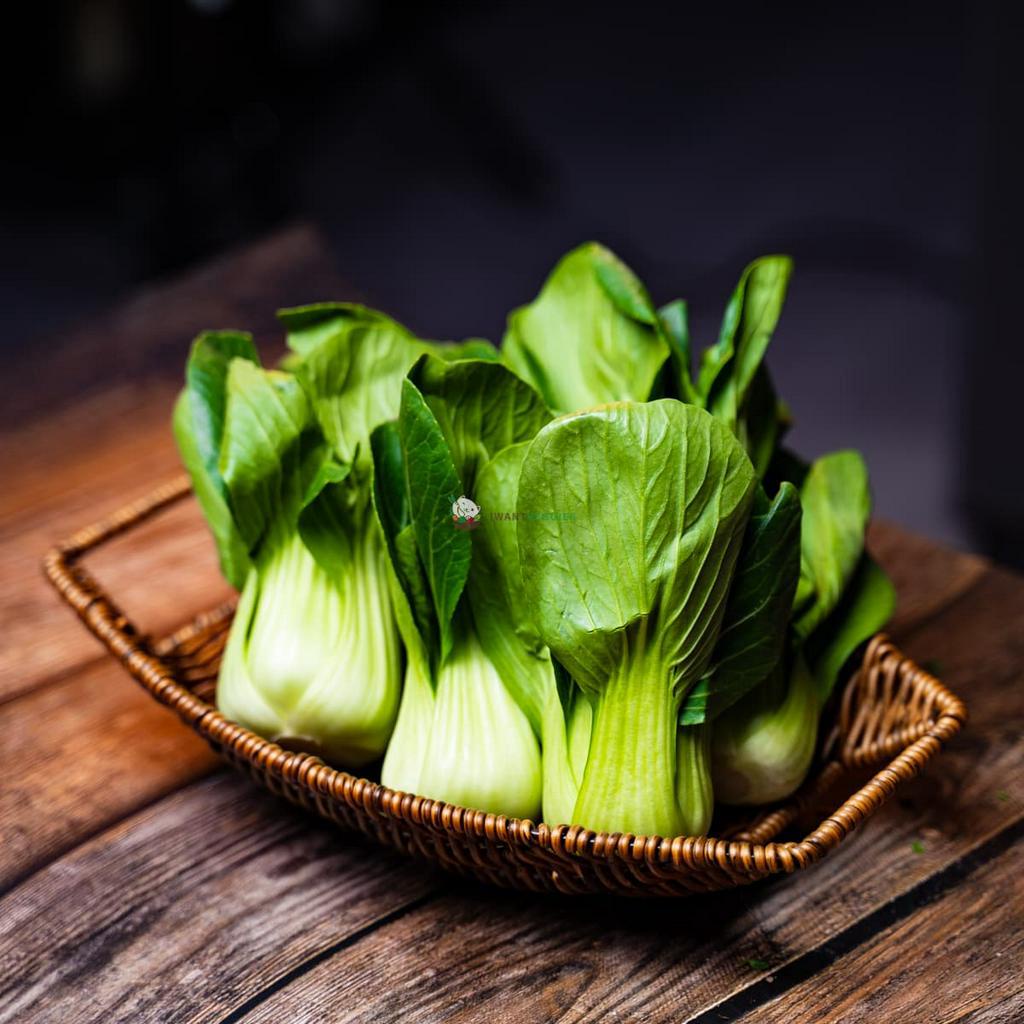 IWantVeggies Fresh Leafy Vegetables | Shopee Singapore