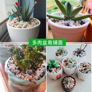 Decorative flowers Paving Stone Color Stone River stones Pebble Flower ...