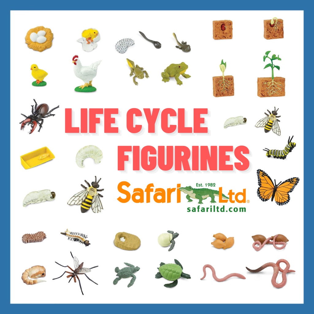 [SG STOCK] (ALL TITLES) Safari Life Cycle Figurines | Shopee Singapore