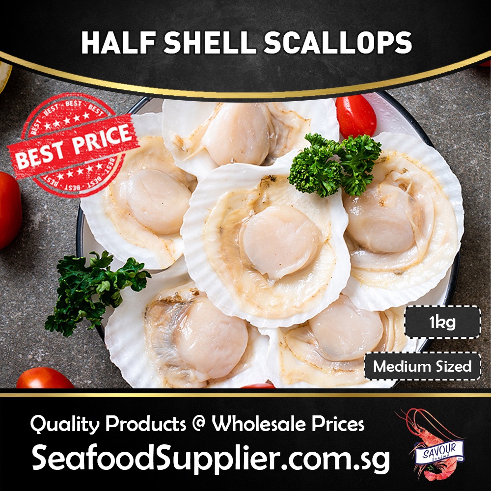 Half Shell Scallops - Medium (1kg) (Savour Gourmet) | Shopee Singapore