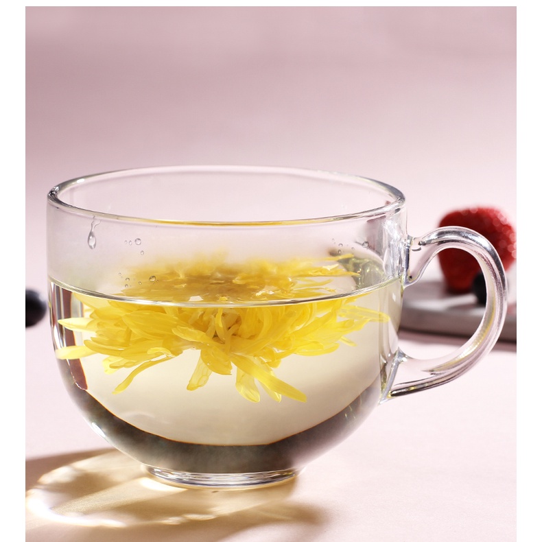 Heat Resistant Simple Pretty Big Round Glass Cup with Handle for Coffee ...