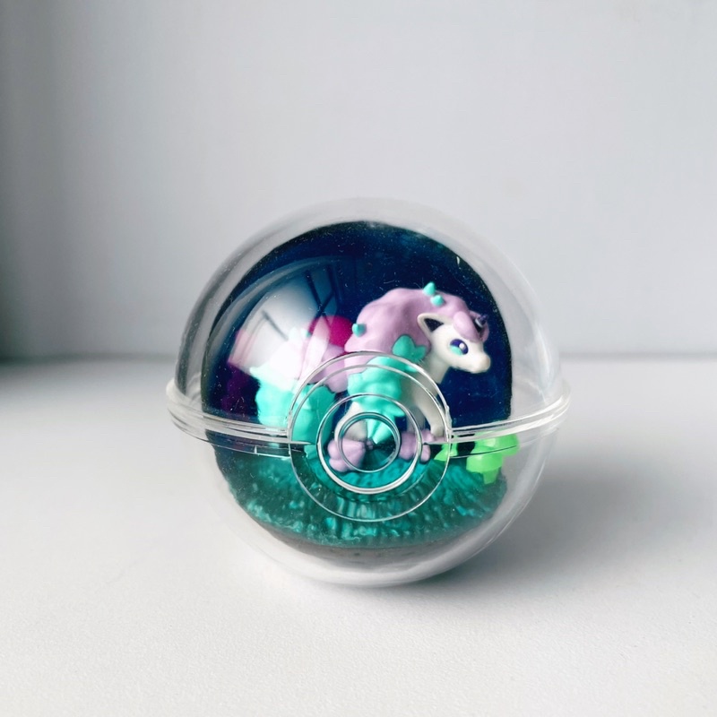 [Genuine Japanese] Pokemon Terrarium Alolan Ponyta Model | Shopee Singapore