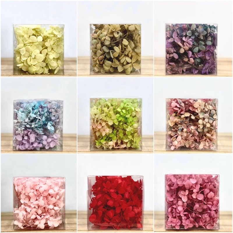 🇸🇬[SG Stock]Hydrangea Preserved Flowers Grade A Preserved Hydrangeas ...