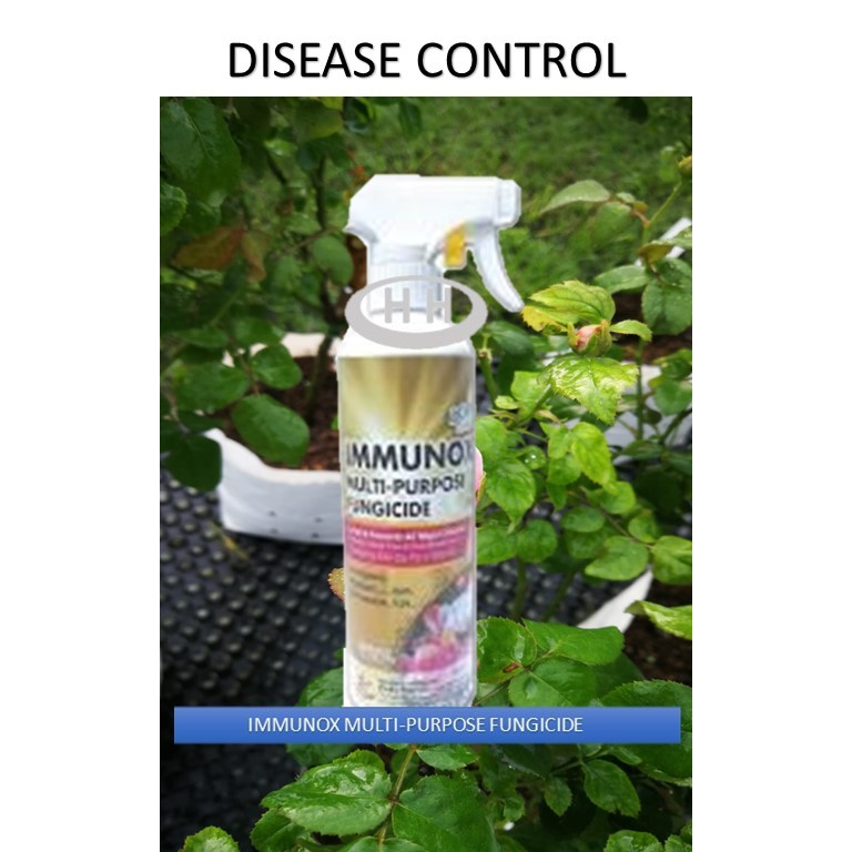 IMMUNOX Multi-purpose Fungicide | Shopee Singapore