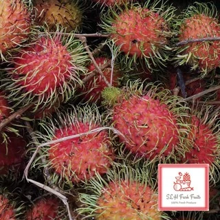 Buy slh fresh fruit Products At Sale Prices Online - September 2025 ...