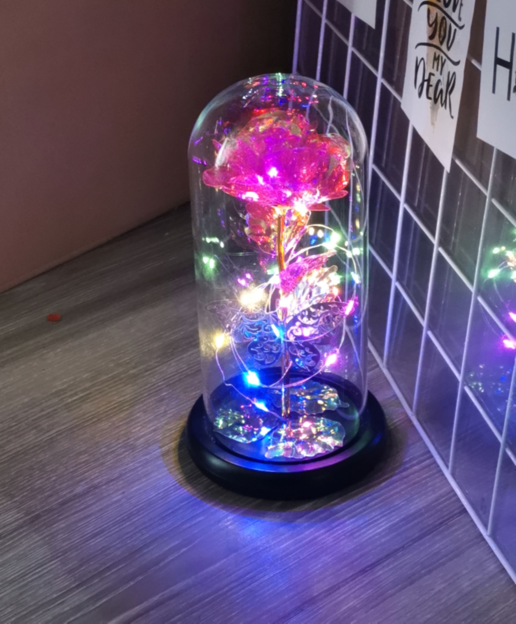 Bunga Dalam Kaca dengan Lampu LED Light Rose with Butterfly in Glass ...