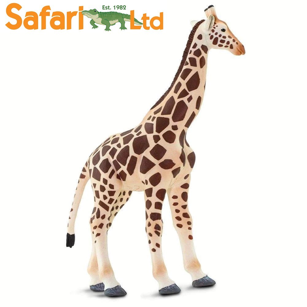 Safari Ltd Herbivore Series Wild Safari Toys (Giraffe, Reticulated ...