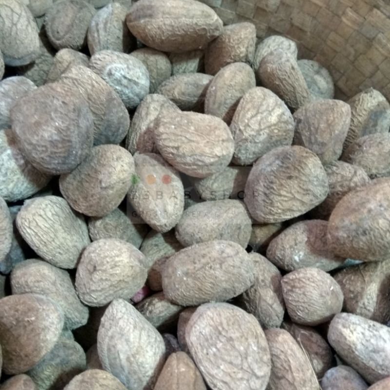 250 grams Kluwak Kluwek Kluak Pucung Picung Kepayang Rawon Seasoning ...