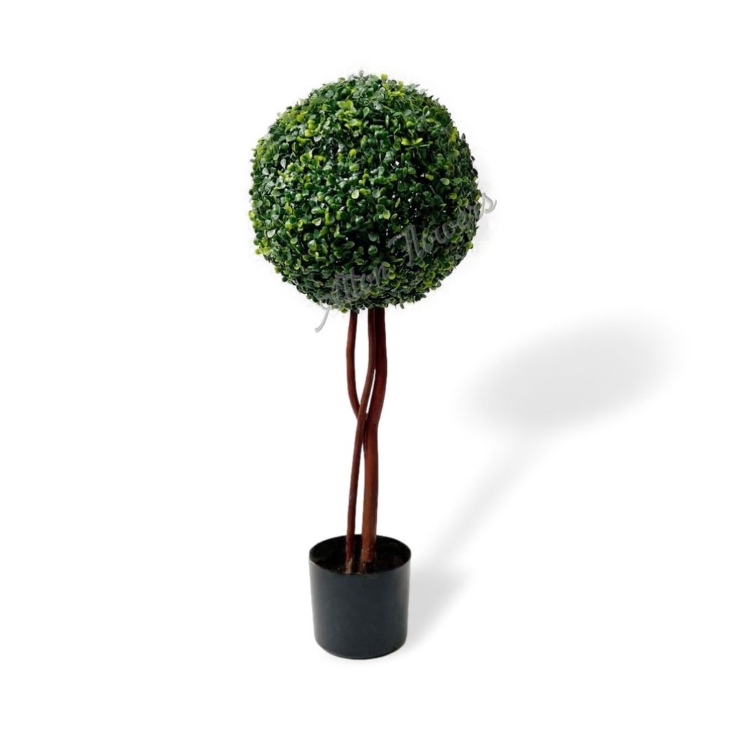 Single Boxwood Topiary Ball Plant Aplant649 | Shopee Singapore