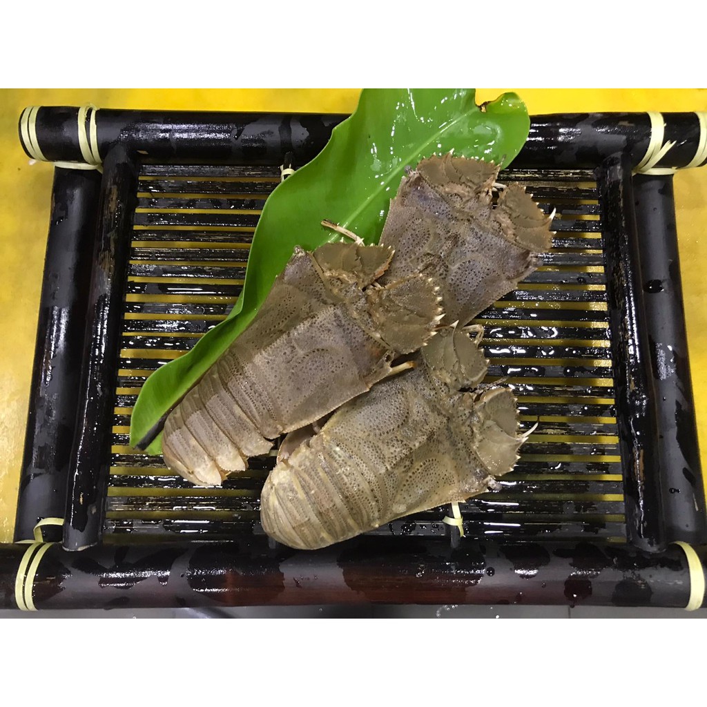 Live seafood Crayfish Live 1KG | Shopee Singapore