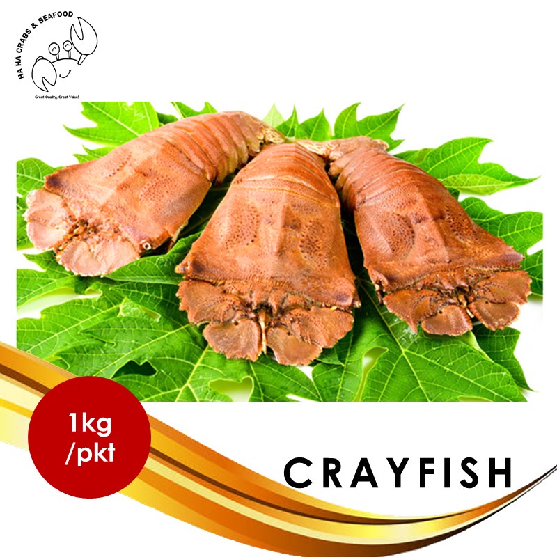 Crayfish / Slipper Lobster 虾婆 (Frozen, 1kg/Pkt) | Shopee Singapore