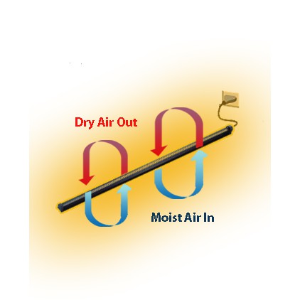 Olee Dehumidifying Rod (USA product) (1 Year Warranty) Dehumidifier ...