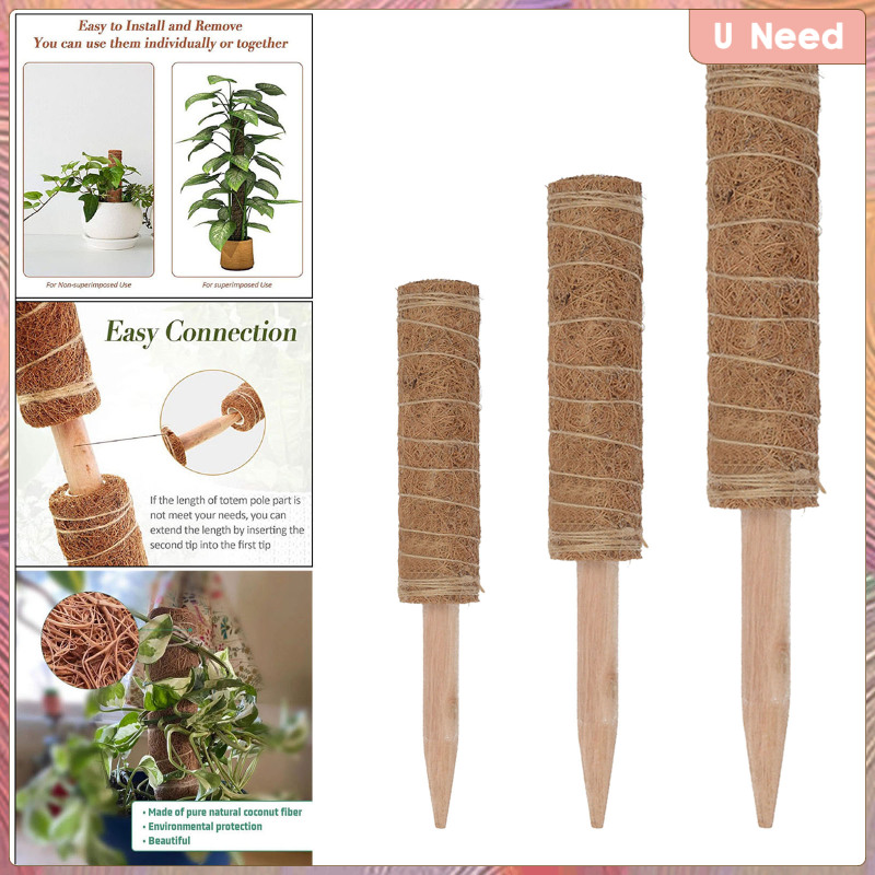 Coir Pole indoor Potted Climbing Plant Support Extension Stick for ...