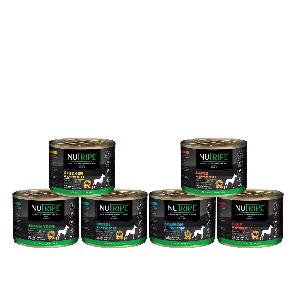 Nutripe Pure with Green Tripe Dog Wet Food, 185g, 6 Flavors Available ...