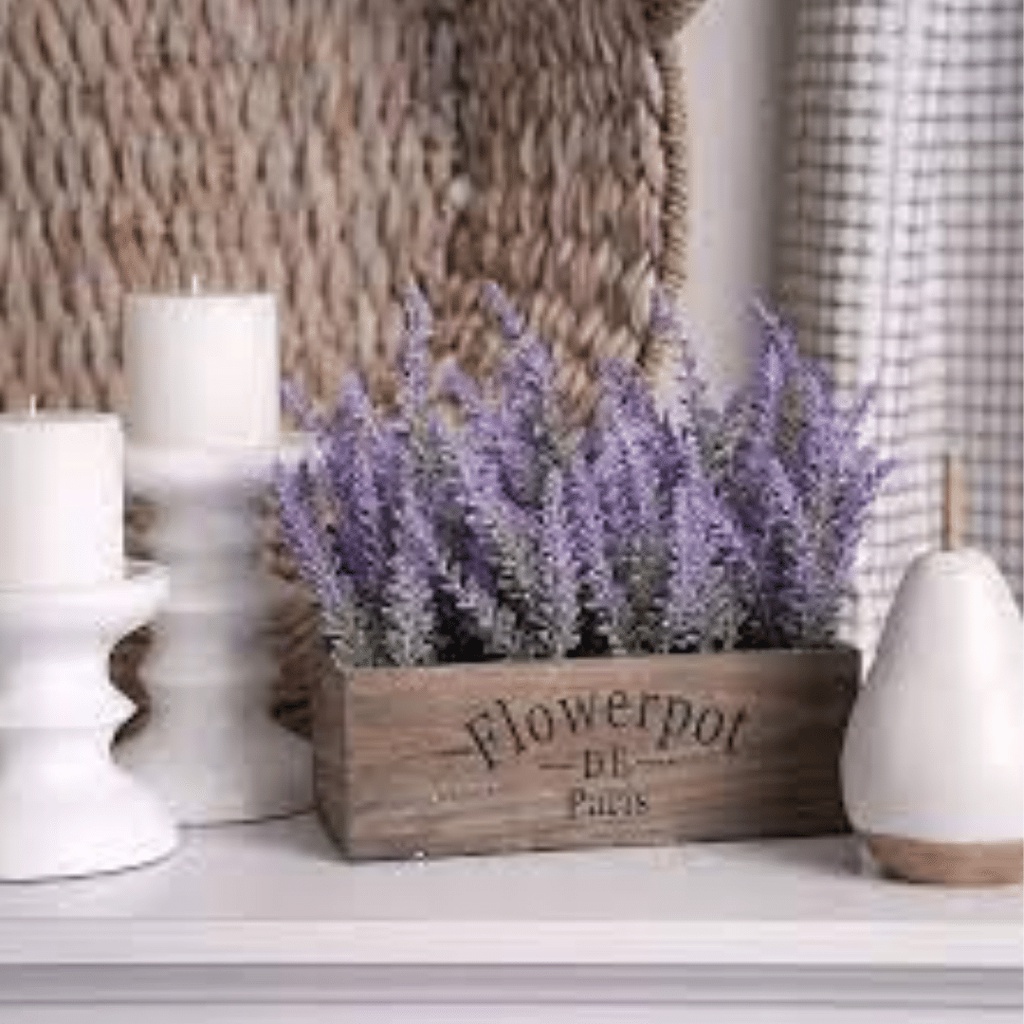 [SG Stock] 10cm Large Lavender Plant with Wooden Tray | Ramadan Home ...