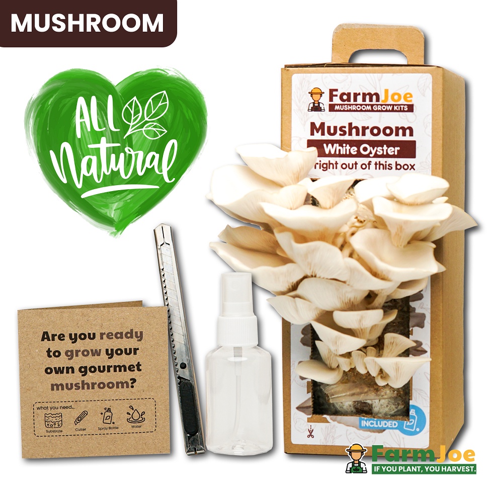 Mushroom • Mushroom Grow Kit • Edible Mushroom • Oyster Mushroom ...