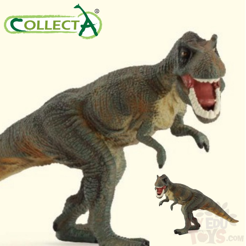 Tyrannosaurus Rex Green (T-Rex/Trex) - CollectA 88118 Prehistoric Life ...