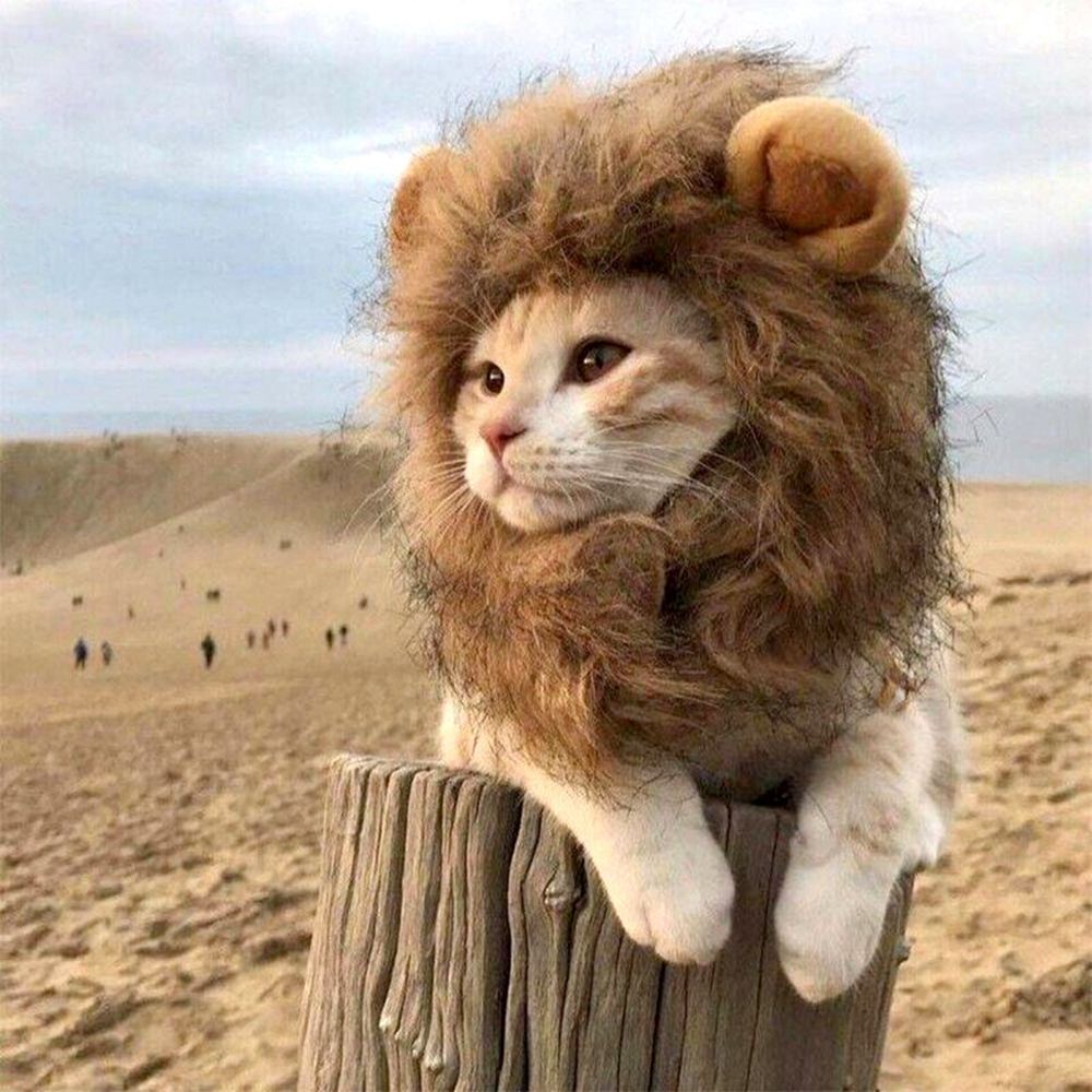 BLUEVELVET Cat Lion Mane Pet Lion Costume Pet Lion Hair Wig for Dogs ...