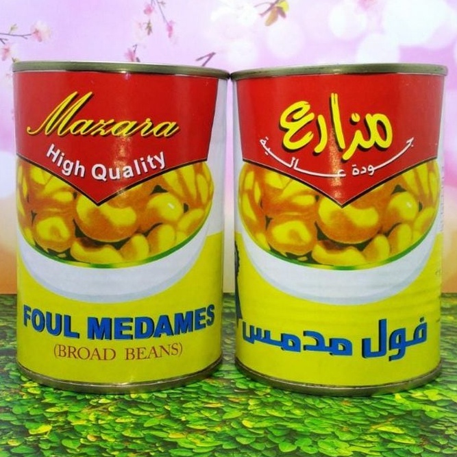 Broad Beans Foul Medames 397g Medammes Fava Arabic Beans | Shopee Singapore