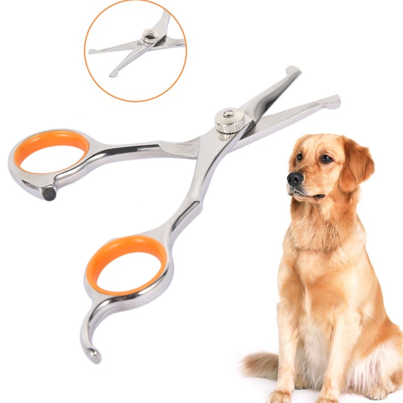 Pet Grooming Scissors With Safety Round Tip 4 Shapes Portable Stainless ...