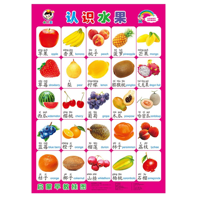 Baby Cognitive Wall Sticker Educational Posters for Kids Preschool ...