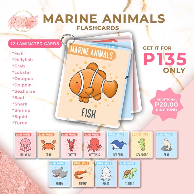 MARINE ANIMALS Laminated Flashcards Interactive Educational Cards Toys ...