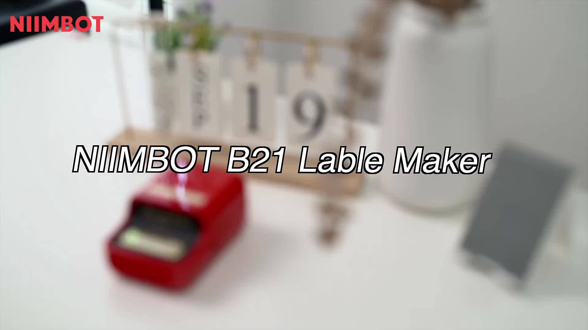 Niimbot B21/B21 Pro Label Printer Wireless Bluetooth Thermal Label ...