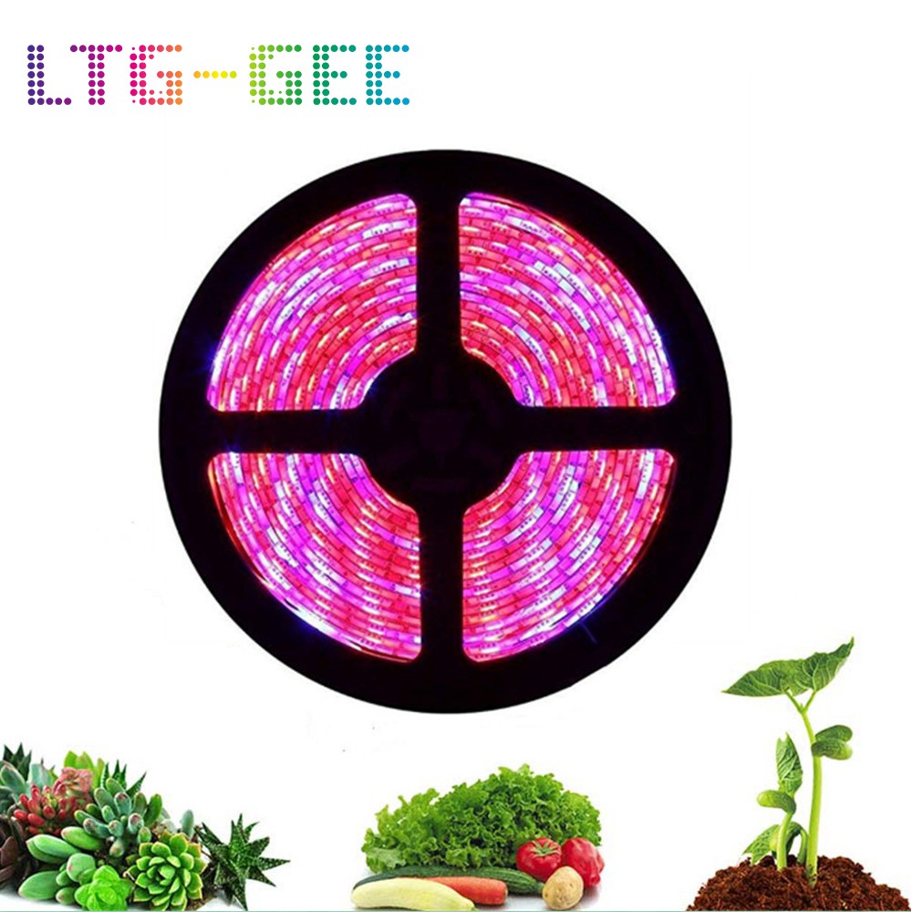Led Grow Light Strip 5M 5050 Spectrum Flower Plant Phyto Growth Lamp ...