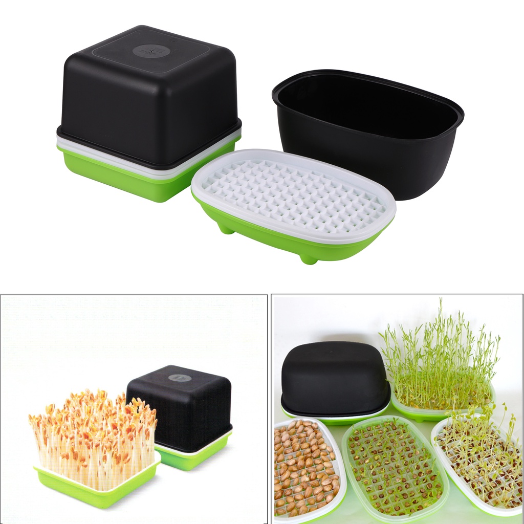 Home Hydroponic Peanut Sprout Box With Cover Bean Pea Wheat Seedling ...