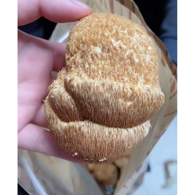 Dried Monkey Mushroom (250g) | Shopee Singapore