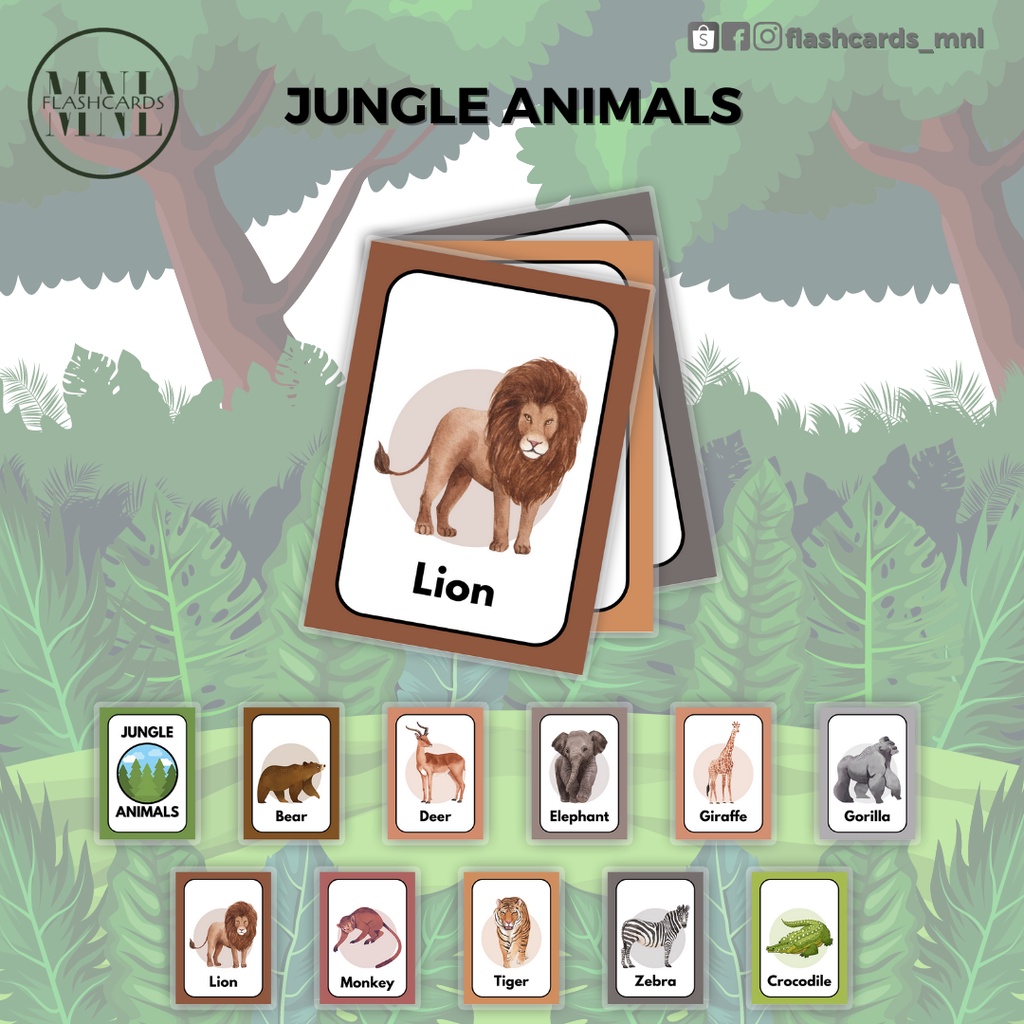 JUNGLE ANIMALS FULLY LAMINATED EDUCATIONAL FLASHCARDS WITH OR WITHOUT ...
