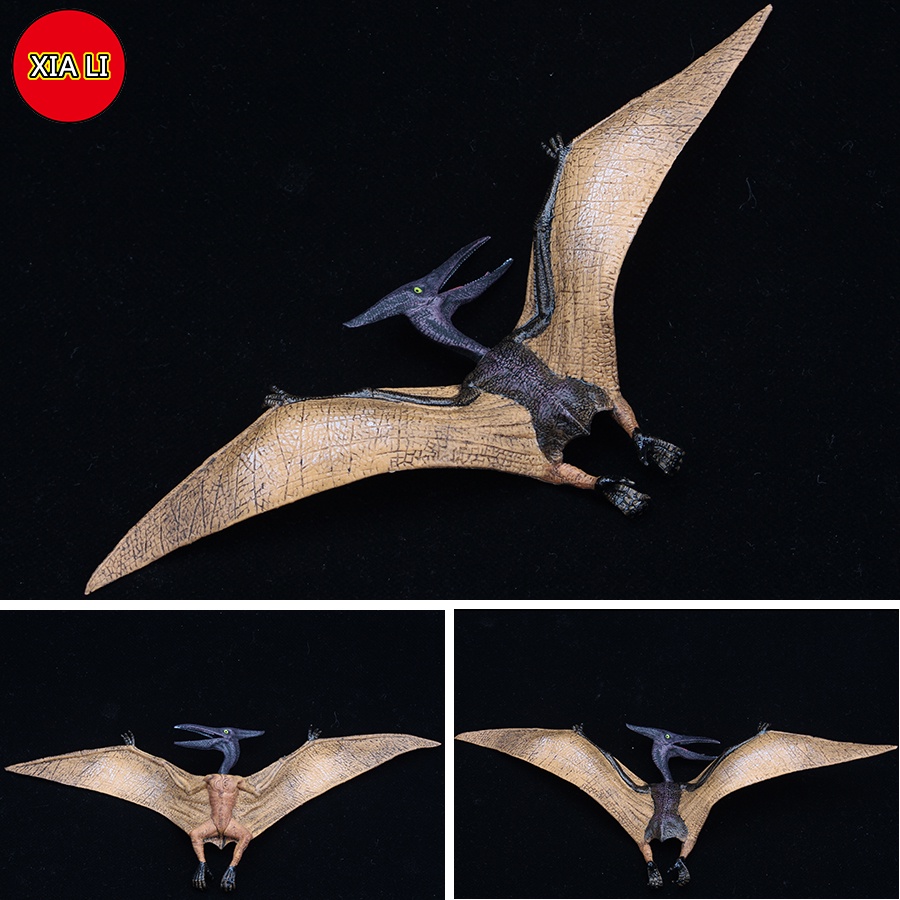 Jurassic Simulation Dinosaur Model Toothless Pterodactyl Animal Toys ...
