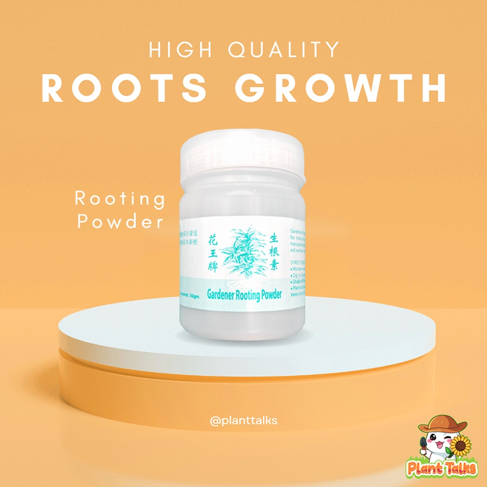 Premium Rooting Powder BEST IBA Rootmone Rooting Plant Hormone Roots ...