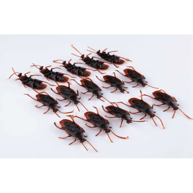 Youtuber Must-Have Toys Fake Cockroaches Tricky Magic Props Cockroach ...