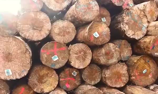 [Color Size Can Be Customized] Nordic Study Table Office Table Solid ...