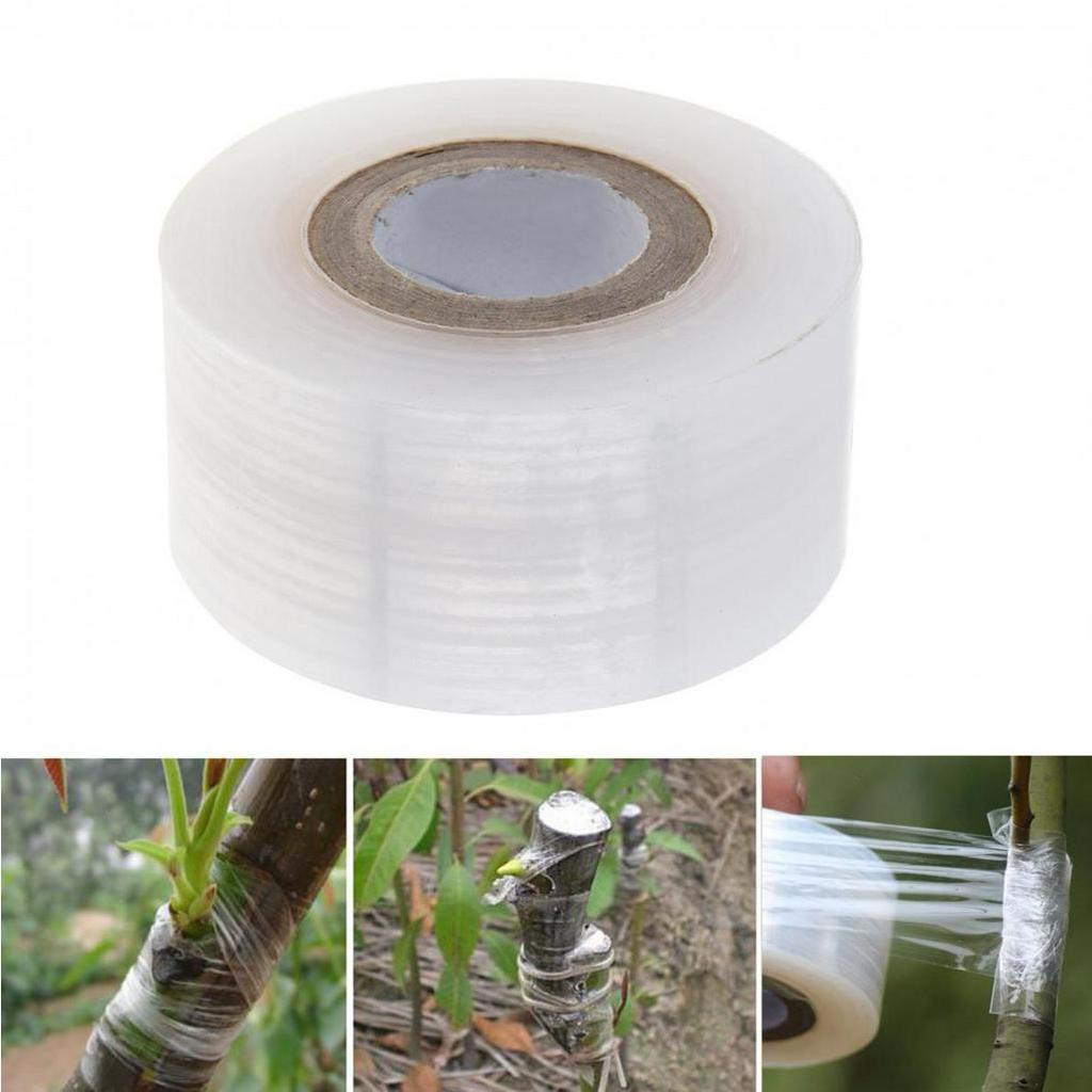 3cm Graft film Grafting Tape Grafting Tool Kit Transparent Stretchable ...